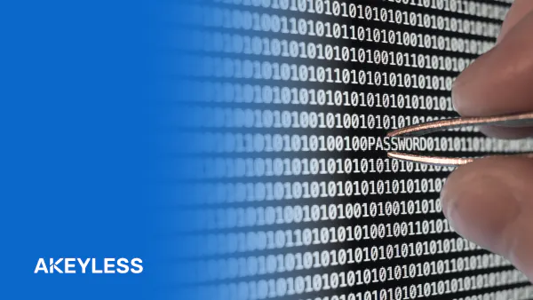 What is Secrets Management? Tools & Best Practices | Akeyless