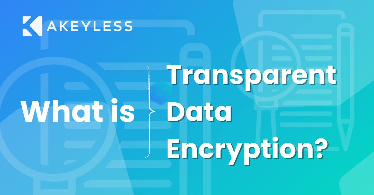 What is Transparent Data Encryption (TDE)? | Akeyless